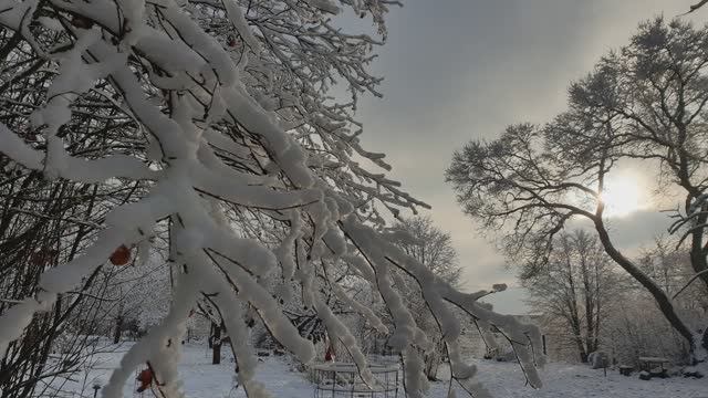 А зима будет большая... К