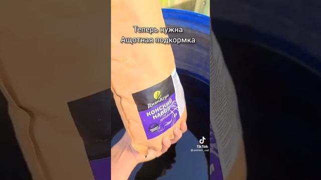 ? Для обильного урожая клубники на последующие года