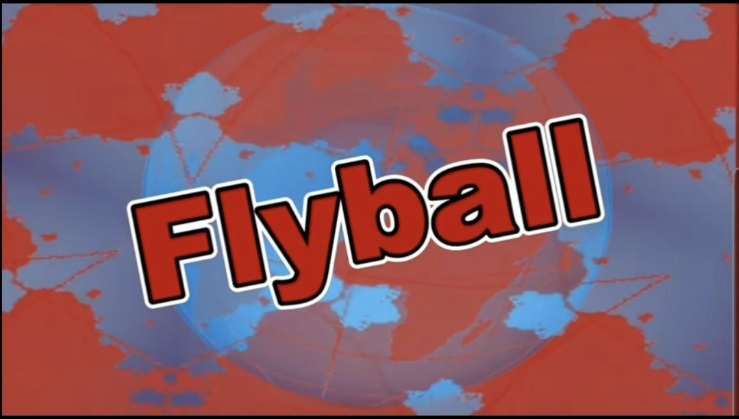 Сэм - джек рассел терьер 
Флайбол тренировка ?