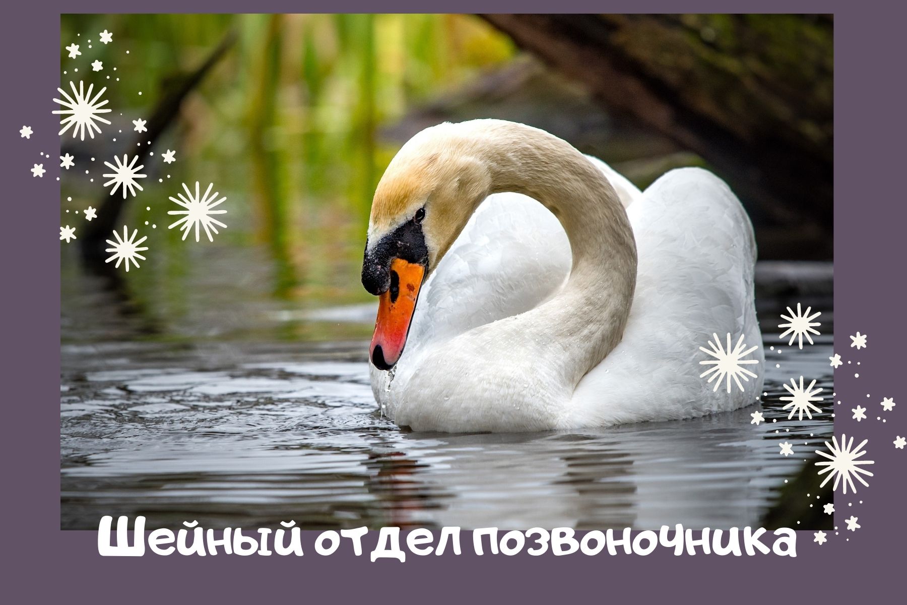 Три моих любимых упражнения для шейного отдела. В движении с дыханием