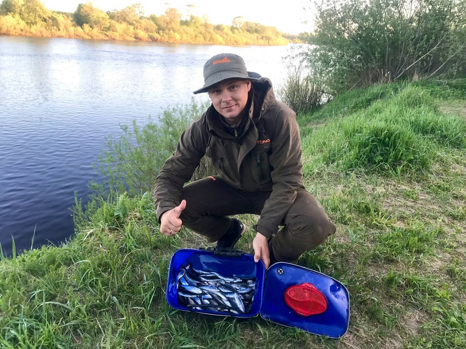 Крупная уклейка, из семейства карповых, на реке Луга. Рыбалка с берега.