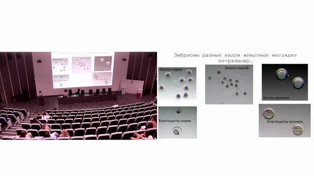 22 Редактирование генома животных, отличных от лабораторной мыши.