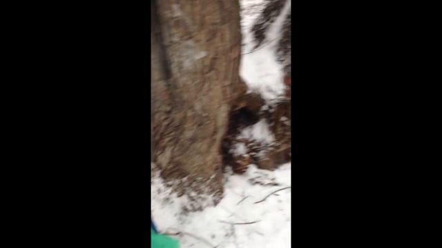 Кормушки для птиц и таблички своими руками  #151 Орехово_зуево.mp4