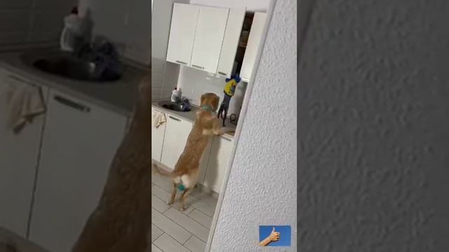 Наконец-то я их застукал....