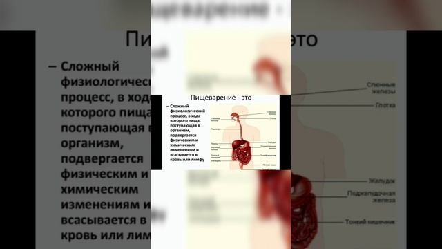 Польза костного бульона. Как приготовить. Рецепт. Коллаген. Часть 2 #shorts