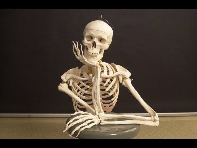 Все ли секты грабят и убивают?