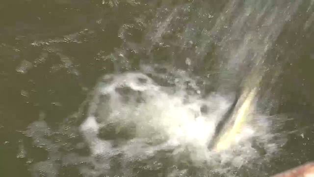 Фильм к пятилетию Премии «Особенное счастье» — «Счастье бывает разным»