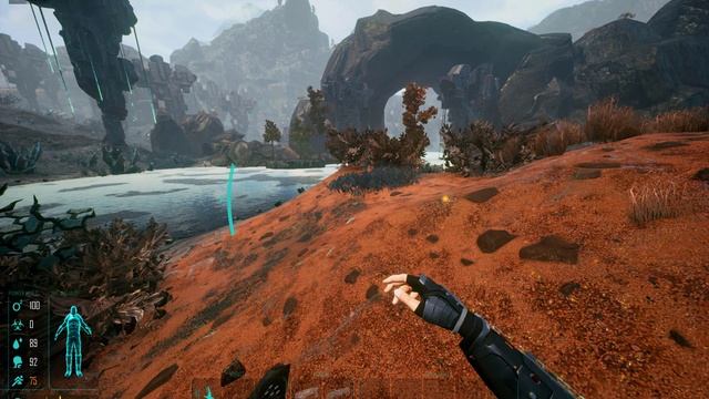 Eden Star 0013. 0.2.6. Обзор баз.