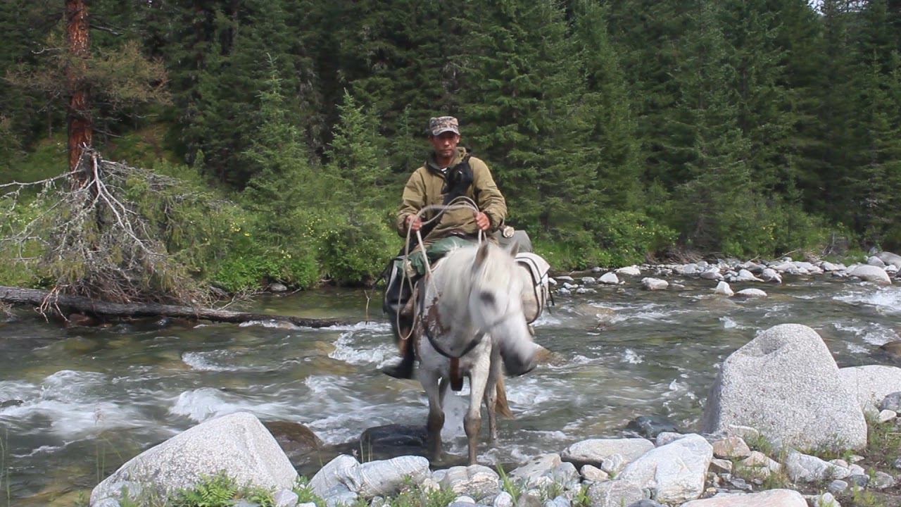 Брод. Летняя экспедиция в Алтайском заповеднике