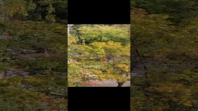 Снос дома ул. Никитинская, 19к3 VID_20230919_091739