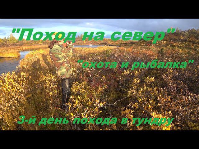 "3-й день похода в тундру", мыс "Космофизиков". (Самый насыщенный день: рыбалка и охота).