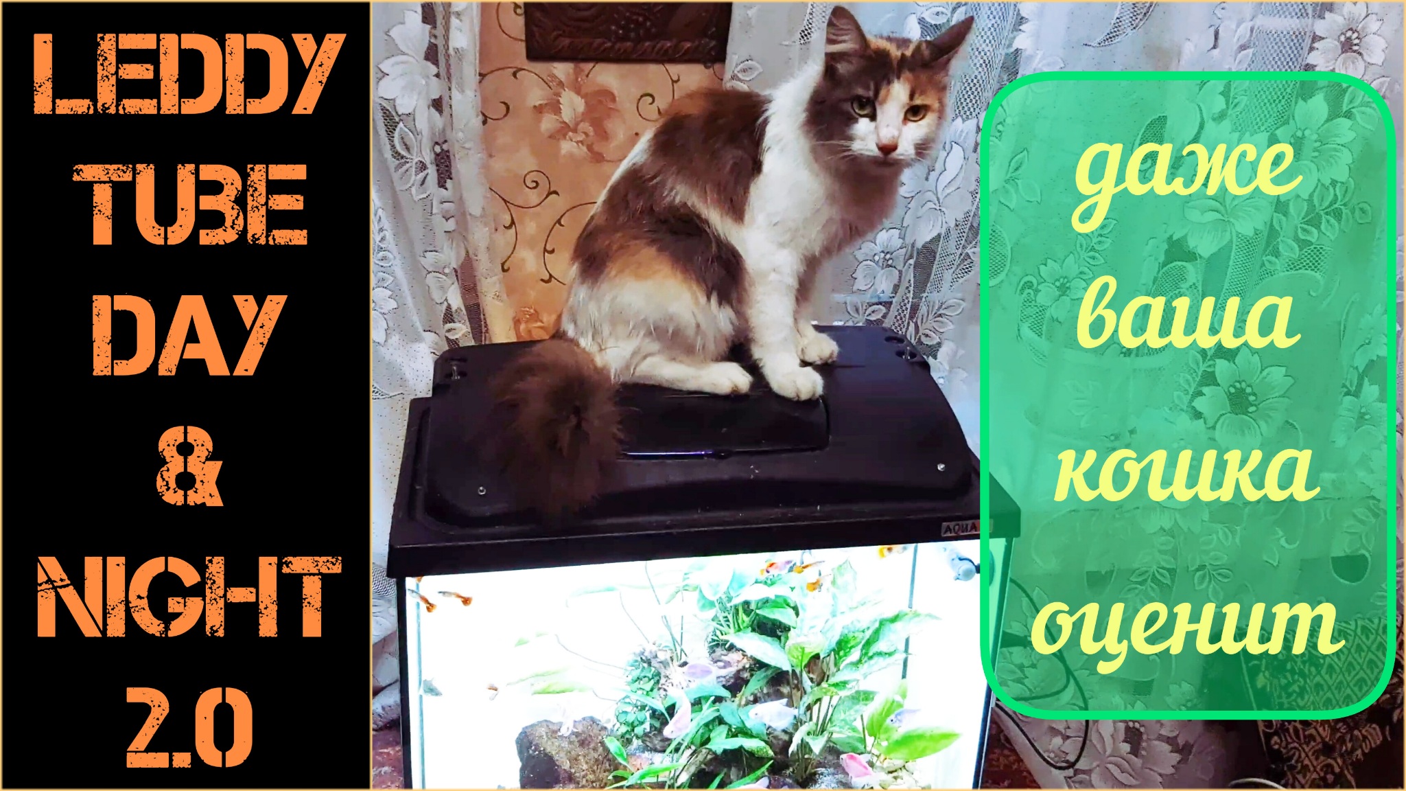 Меняем свет в 60л аквариуме