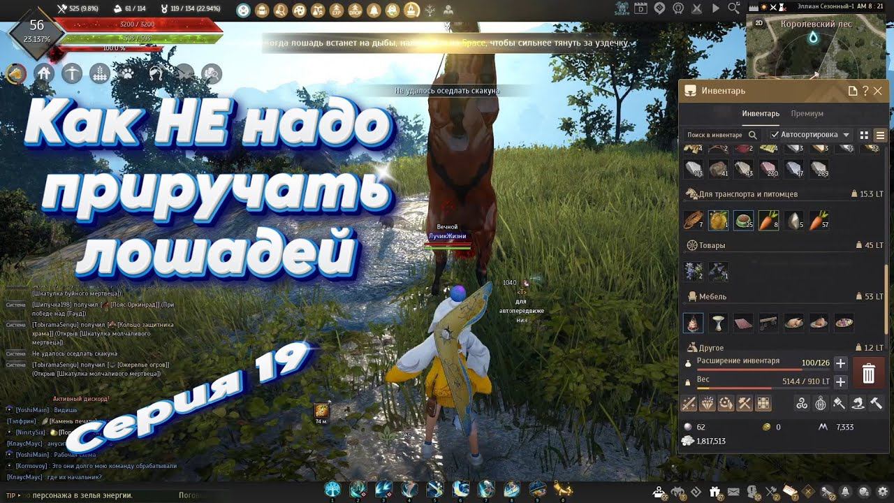 Black Desert. Shai. Шай.  Серия 19. Уровень 56. Шкуры. Порошок варваров. Серебро. Грибы. Первый Дом.