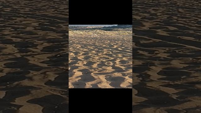 Северный Кипр, Черепашья бухта. Море, пляж, солнце, песок.