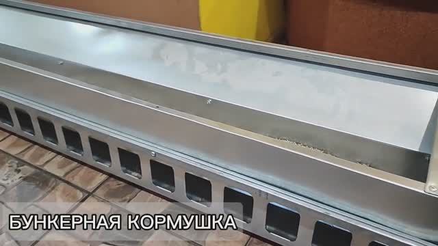 БУНКЕРНАЯ многодневная КОРМУШКА для кур. Эксперимент на ферме.