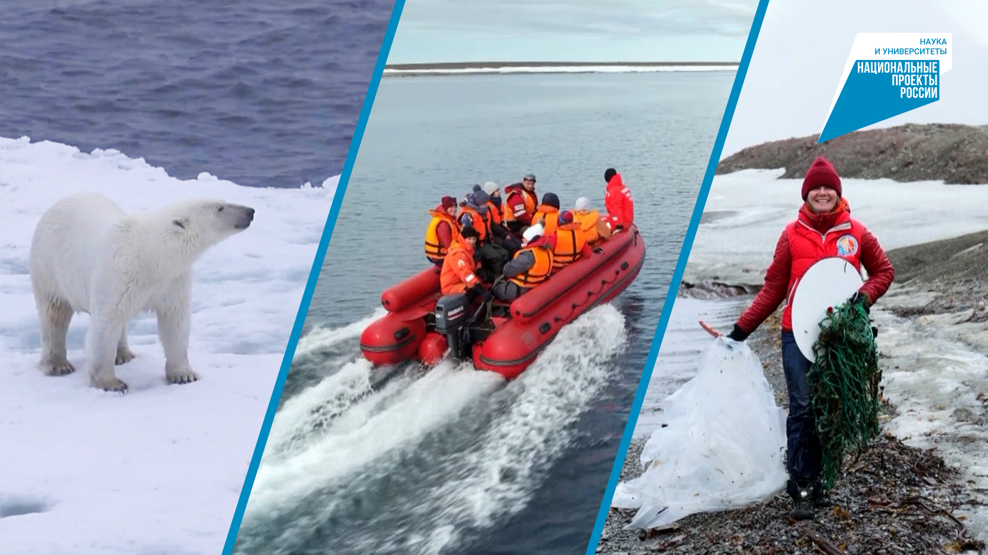 Арктический плавучий университет