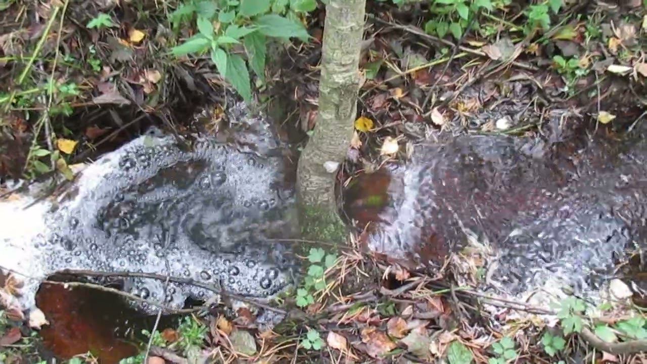 Ручья лесного неспешное журчанье и осени унылый вид