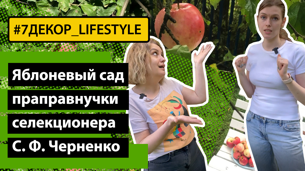 Яблоневый сад праправнучки знаменитого селекционера Семёна Фёдоровича Черненко