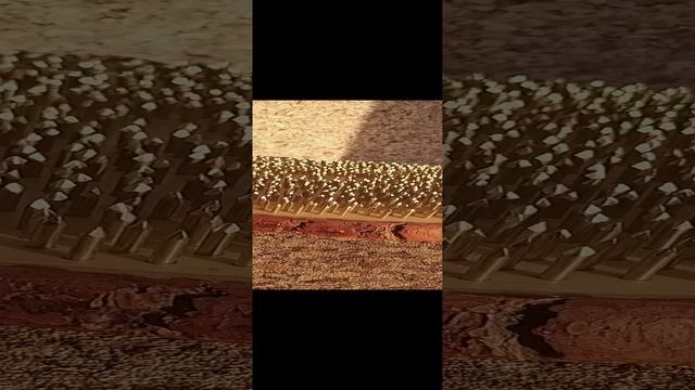 Новый год - новые гвозди