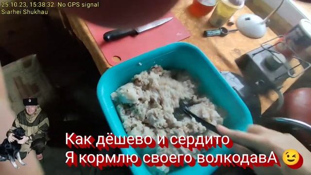 Как дёшево и сердито Я кормлю своего волкодавА