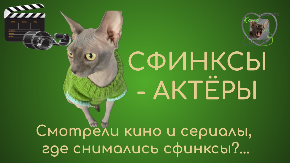 Видели?! Съемки канадских сфинксов в кино и сериалах...