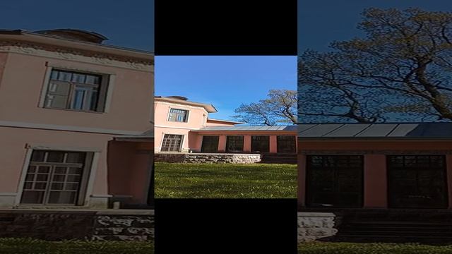 Павловск , СПБ ПИТЕР ТИПИЧНЫЙ ПИТЕР ЛЕТО ПРИРОДА