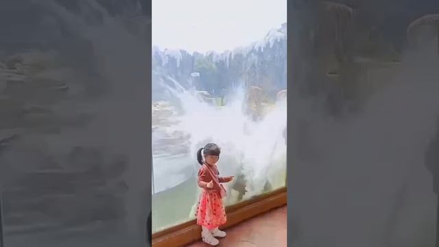 Девочку хотели сфотографировать на фоне кормления рыбой тигра #Девочку хотели