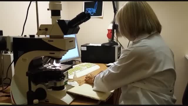 Комплексное обследование библиотечных фондов и условий их хранения