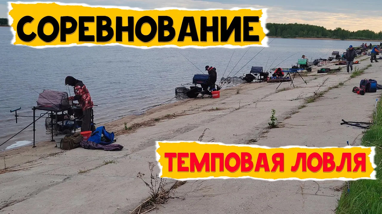 СОРЕВНОВАНИЕ. ФИДЕР. ТЕМПОВАЯ ЛОВЛЯ.  Владимирская область, Глазово.