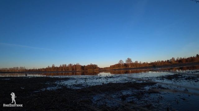 Весенняя охота на селезня с подсадной уткой. Во попал!! День 5й.