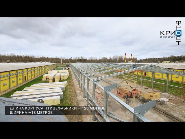 Строительство корпуса птицефабрики для агропромышленного холдинга (таймлапс 4K)