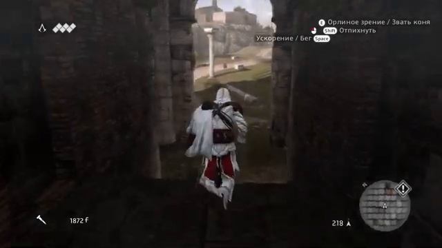 Assassin's Creed Brotherhood#3