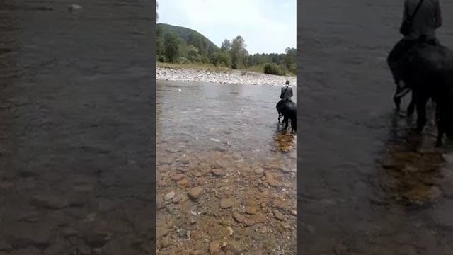 Конные прогулки в Лазаревском