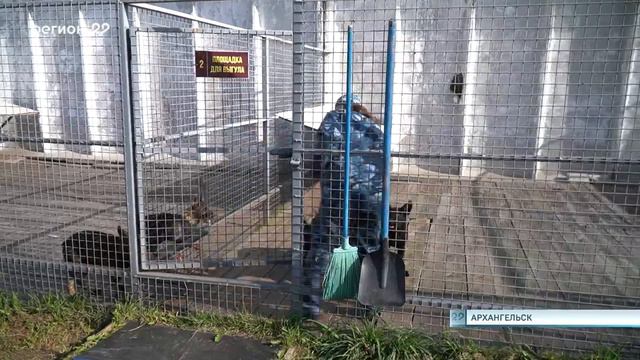 Телеканал "Регион 29"_Племенной питомник УФСИН