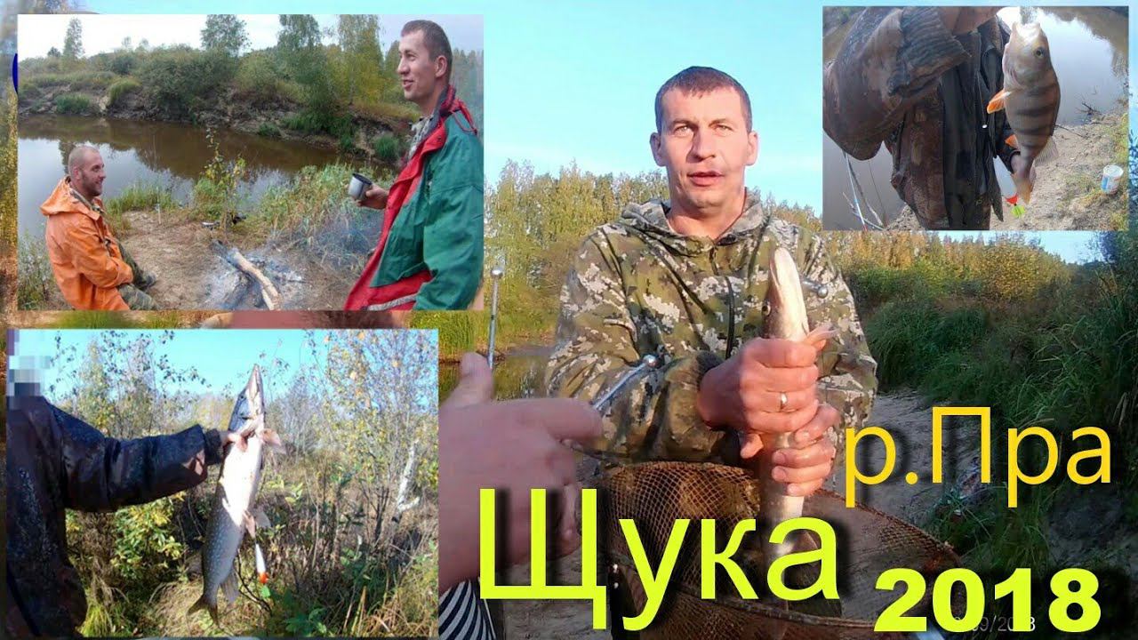 Река Пра. Щука на живца. Осень 2018.