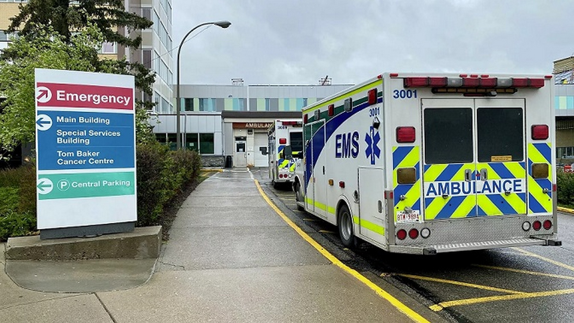 В Канаде зафиксировали вспышку болезни по слабоумию.mp4