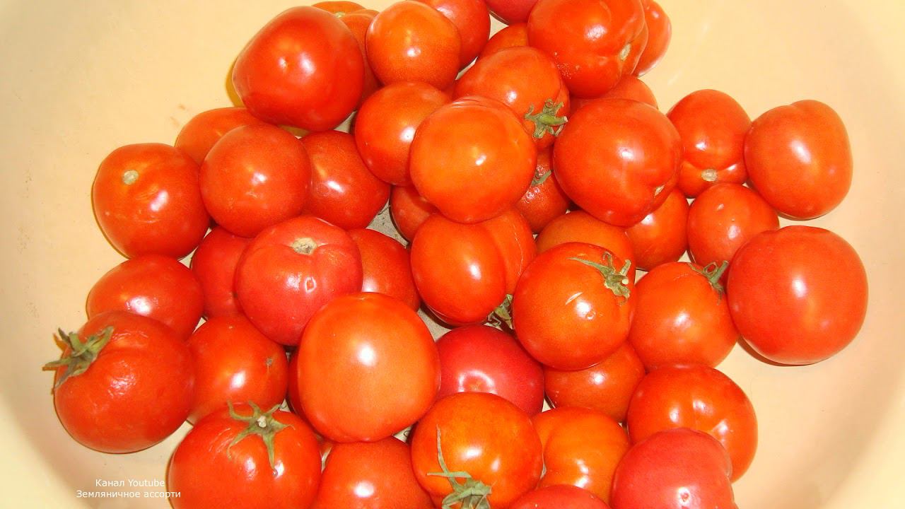 ТОМАТ САНЬКА - УРОЖАЙНЫЙ И НЕПРИХОТЛИВЫЙ