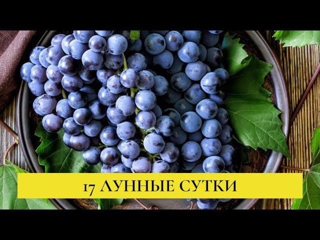 17 ЛУННЫЕ СУТКИ