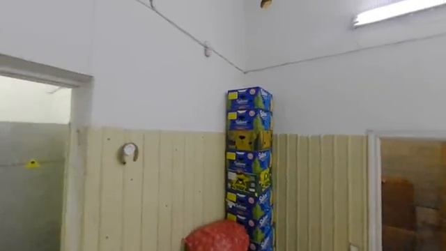 БЛИЗКИЙ г.Благовещенск ул.Театральная, д.79.mp4