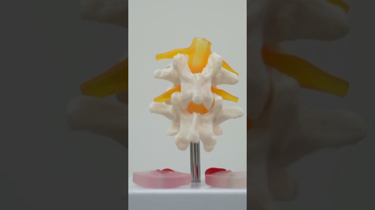 Экскурсия по клинике ОРИГИТЕЯ у Кремля #похудение #здоровье #медицина #ожирение #золотаяигла