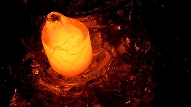 Guess What 6- unit 6