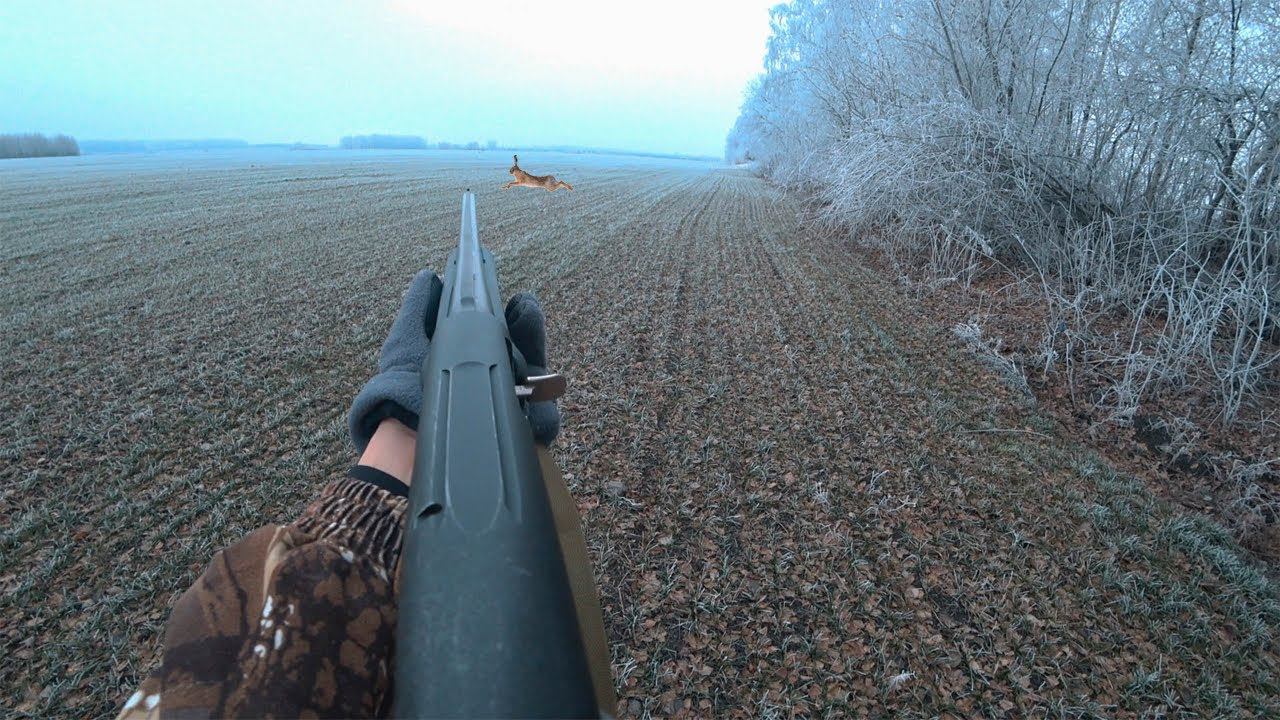 ОХОТА НА ЗАЙЦА С ПОДХОДА С МР155