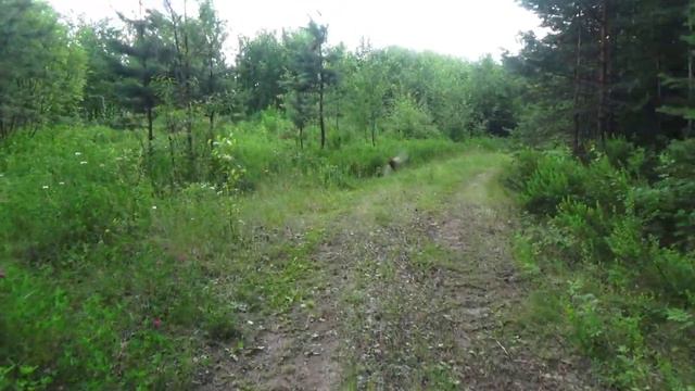 ✅🟥Один в Тайге 2 Не. ну вы видели нет !_ Обновки для Леса..mp4