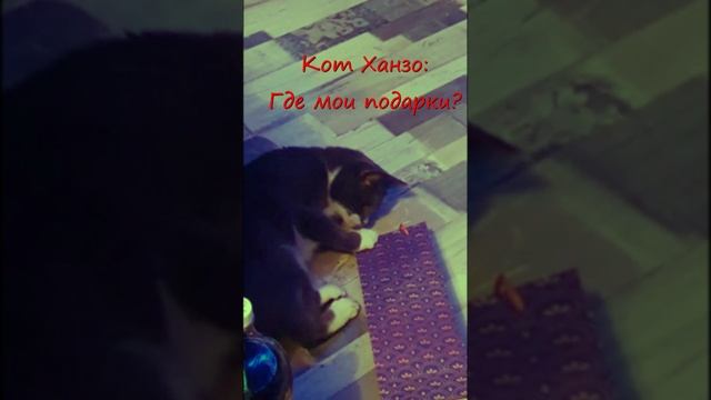КОТ Ханзо - где мои подарки?