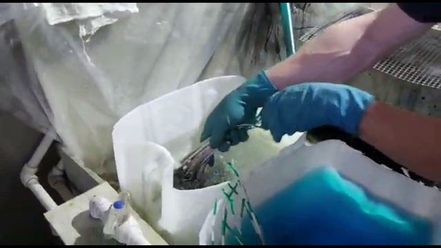 гальваника для бизнеса