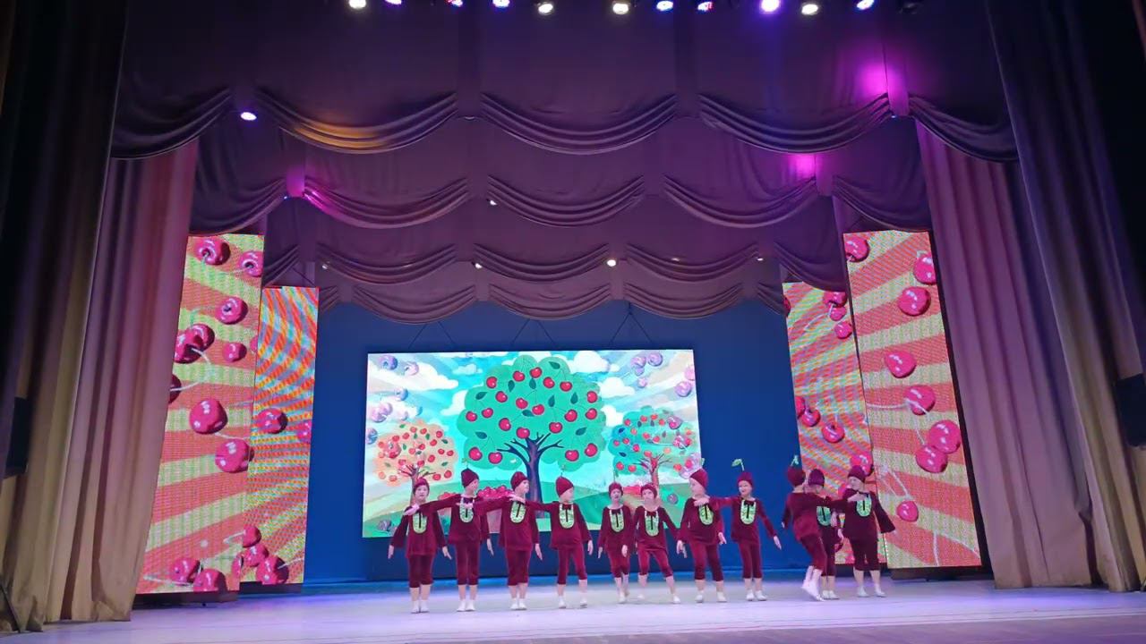 Отчетный концерт. Элегия. Радость.