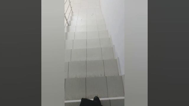 Как получать интернет-заказы в Почтомате?