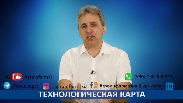 4 выпуск Технологическая карта