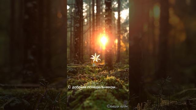 💥С началом новой недели! (читать в описании)✨