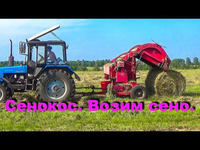 Сенокос. Жара. Возим сено.